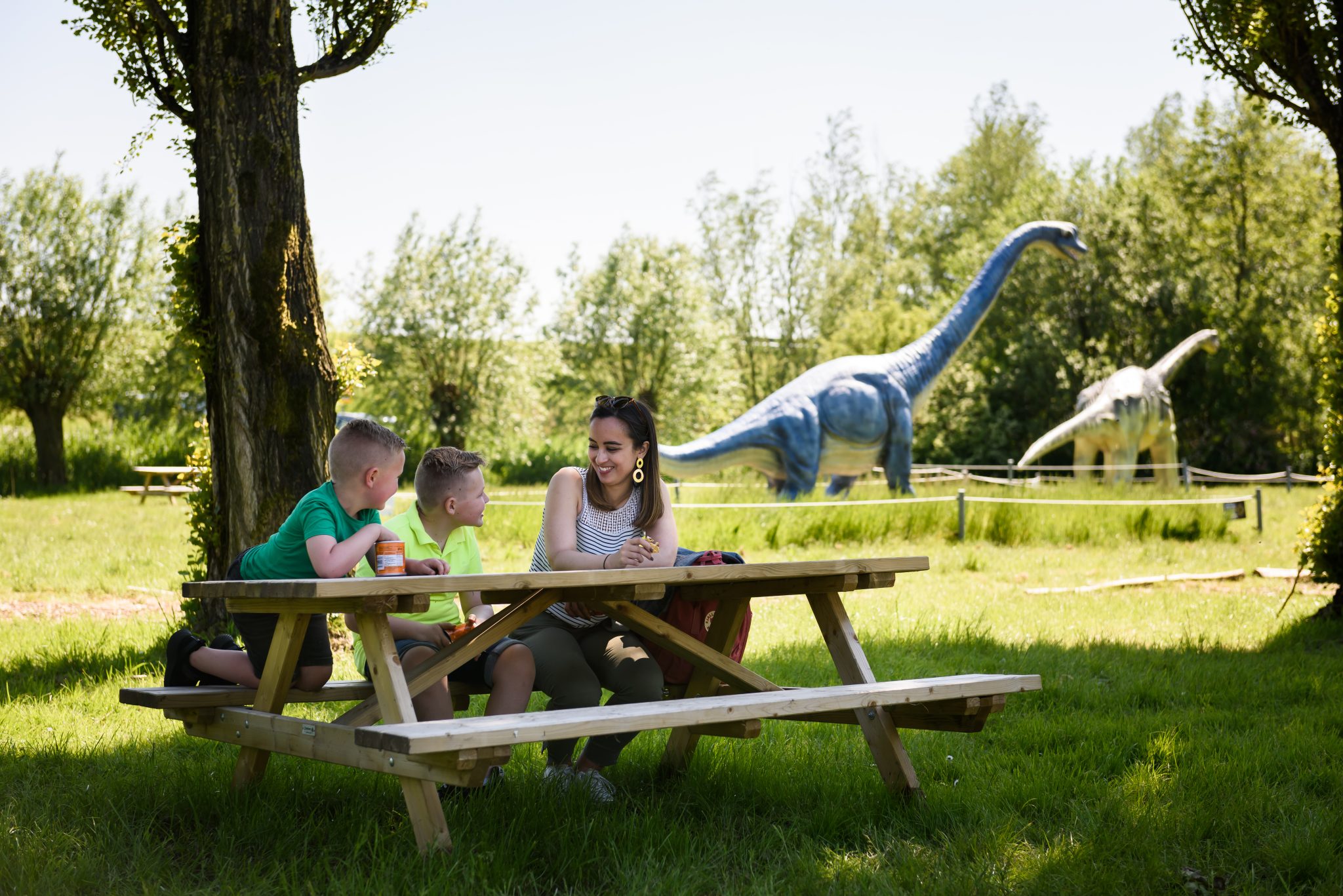 Dino Parcours - Dino Experience Park